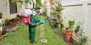 Misting vs Fogging: Mana yang Lebih Efektif? - PESTIGO